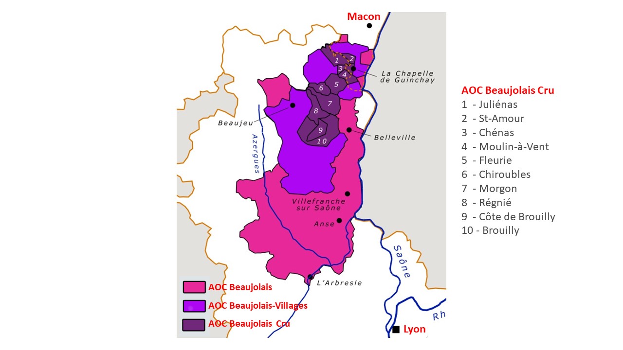 Beaujolais wine region - great Gamay | Living Wines